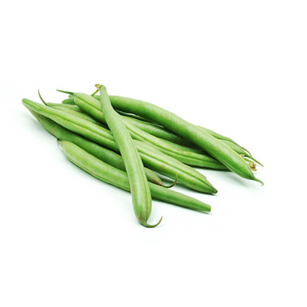 Green Beans Alsalam International For Agriculture